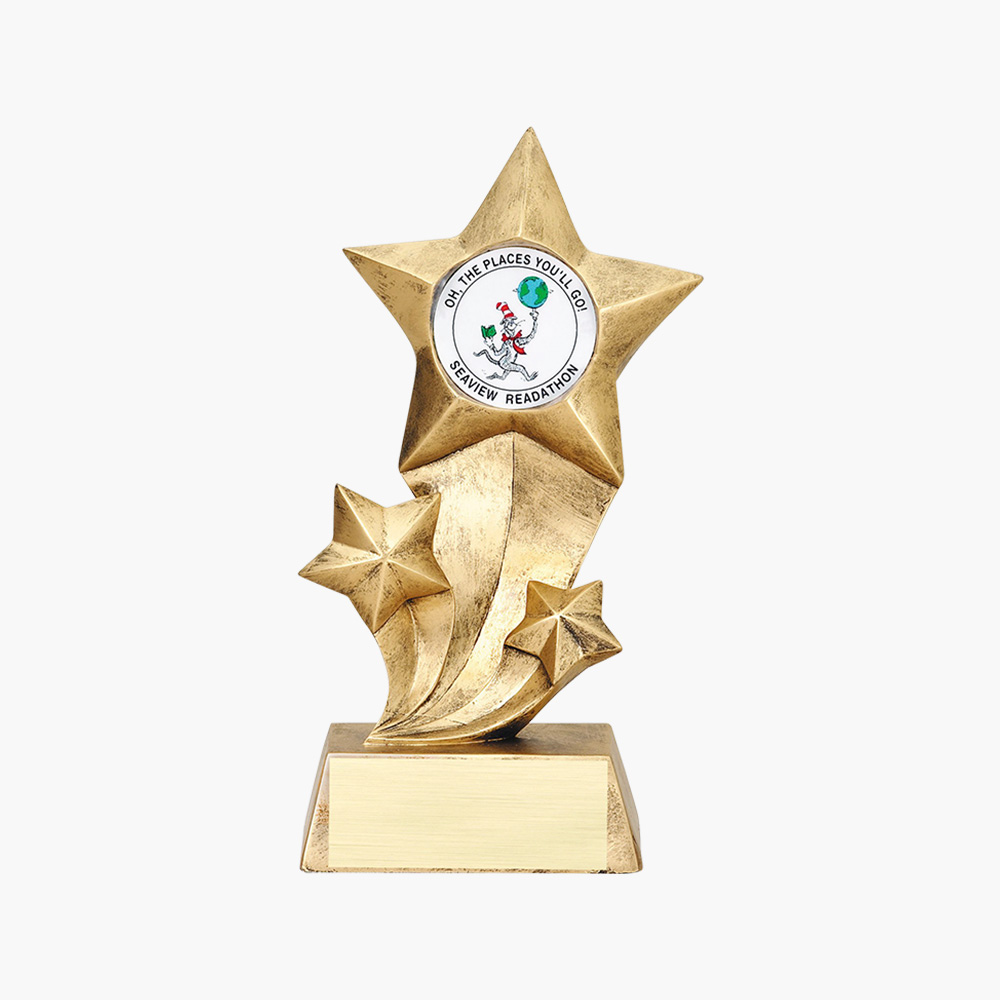 Resin Gold Rising Star Custom Insert Award – Crystal Images, Inc.